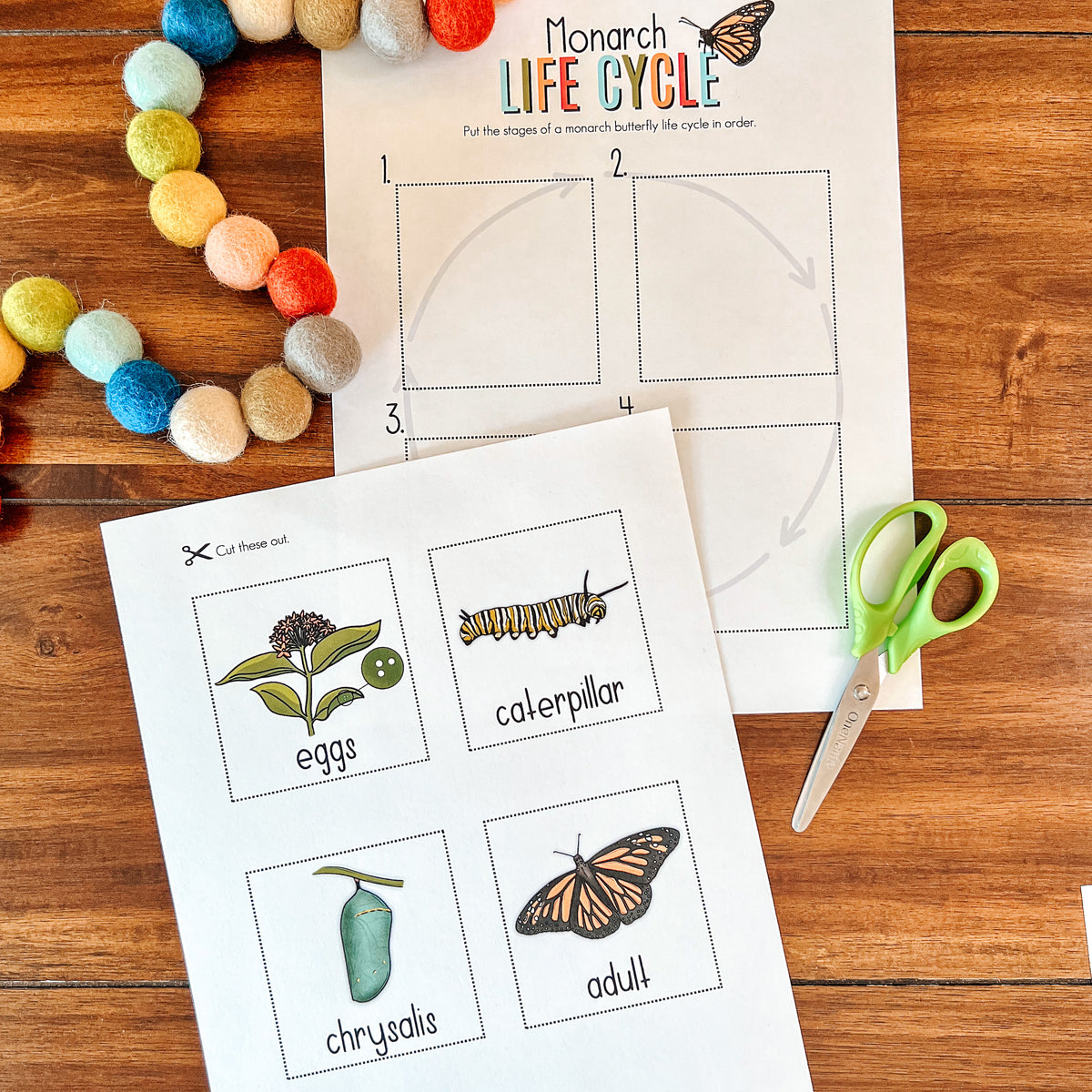 Monarch Butterfly Printable Life Cycle + Anatomy Set – Arrows And ...