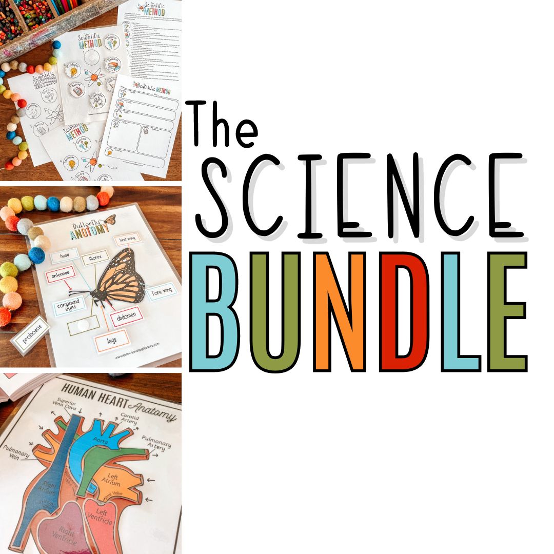 The Science Bundle – Arrows And Applesauce
