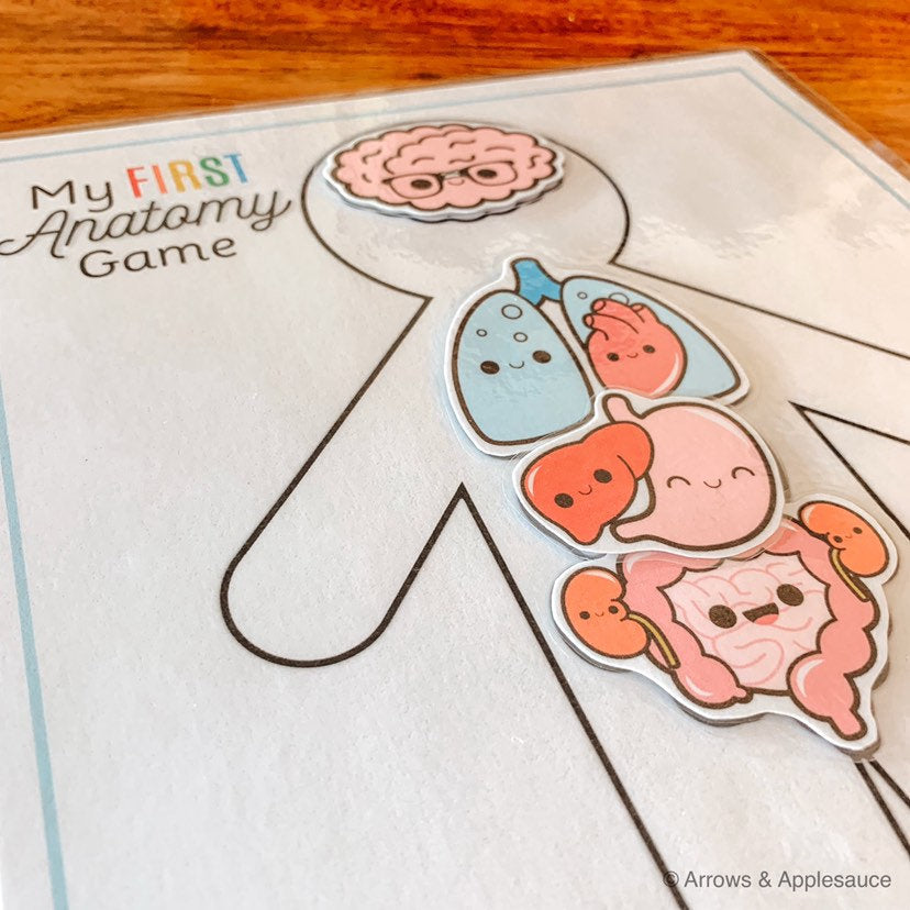 Preschool "My First" Anatomy Printable – Arrows And Applesauce