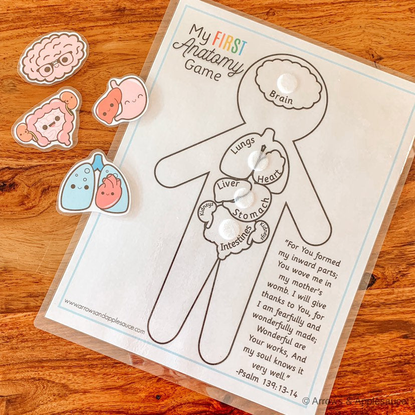 Preschool "My First" Anatomy Printable – Arrows And Applesauce